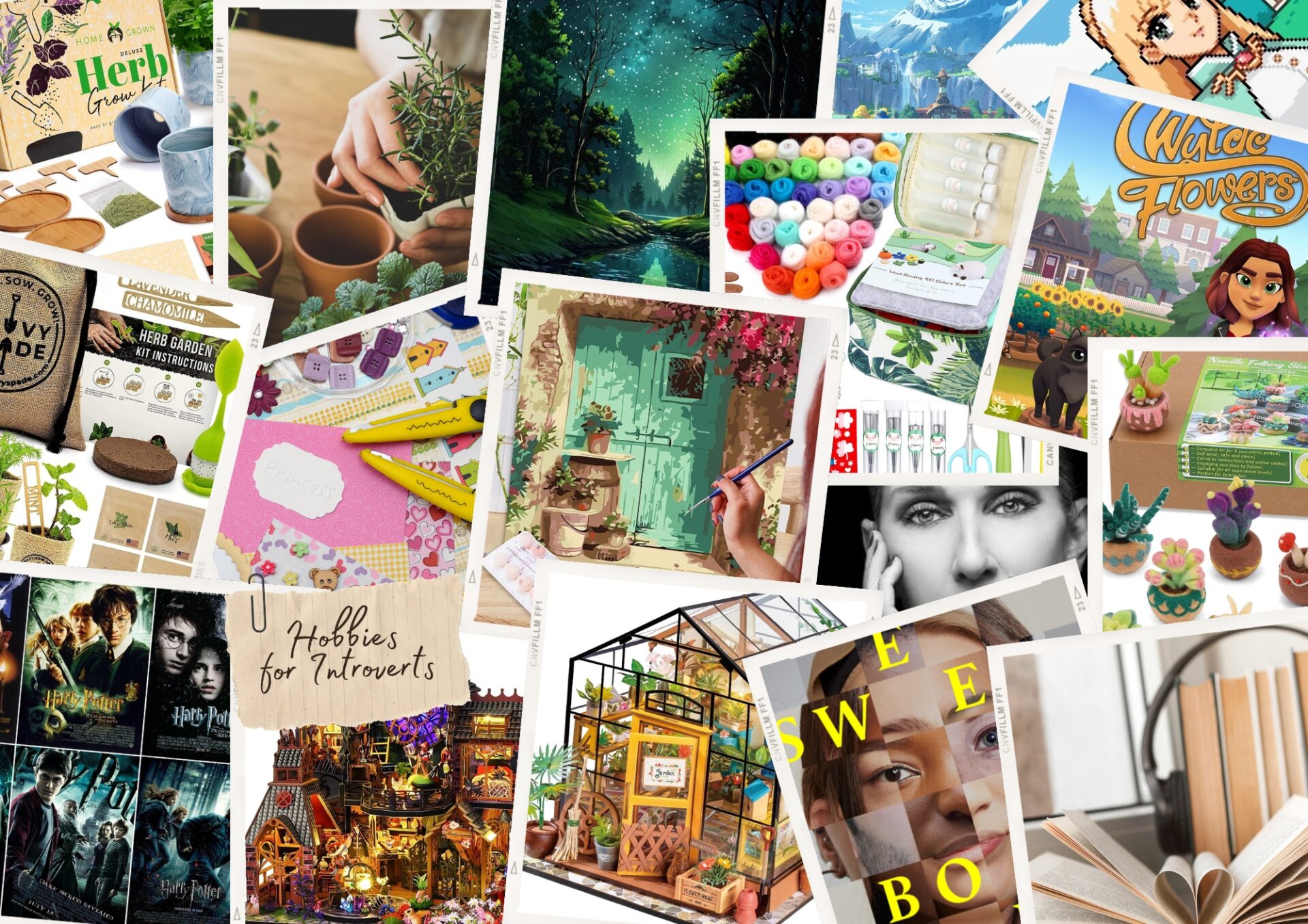 Best Hobbies for Introverts: Finding Joy in Solitude - Katverse's Space